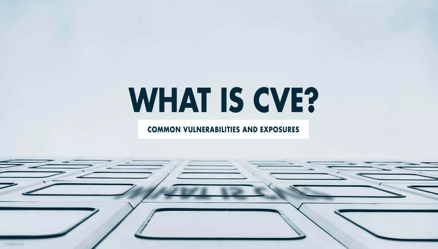 CVE چیست و CVSS چه کاربردی دارد؟